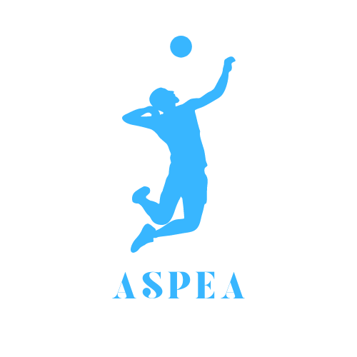 Excellence – Retour – Volley-ball